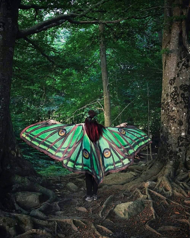 Luna Moth Cape Dance Wings Costume Adult Spanish Luna Moth - Etsy