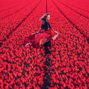 Flower Cape Floral Cloak Red Rose Scarf Shawl Romantic Poncho ...