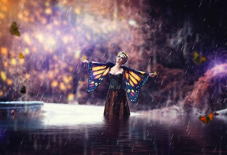 Butterfly wings monarch cape cloak wings costume short small | Etsy