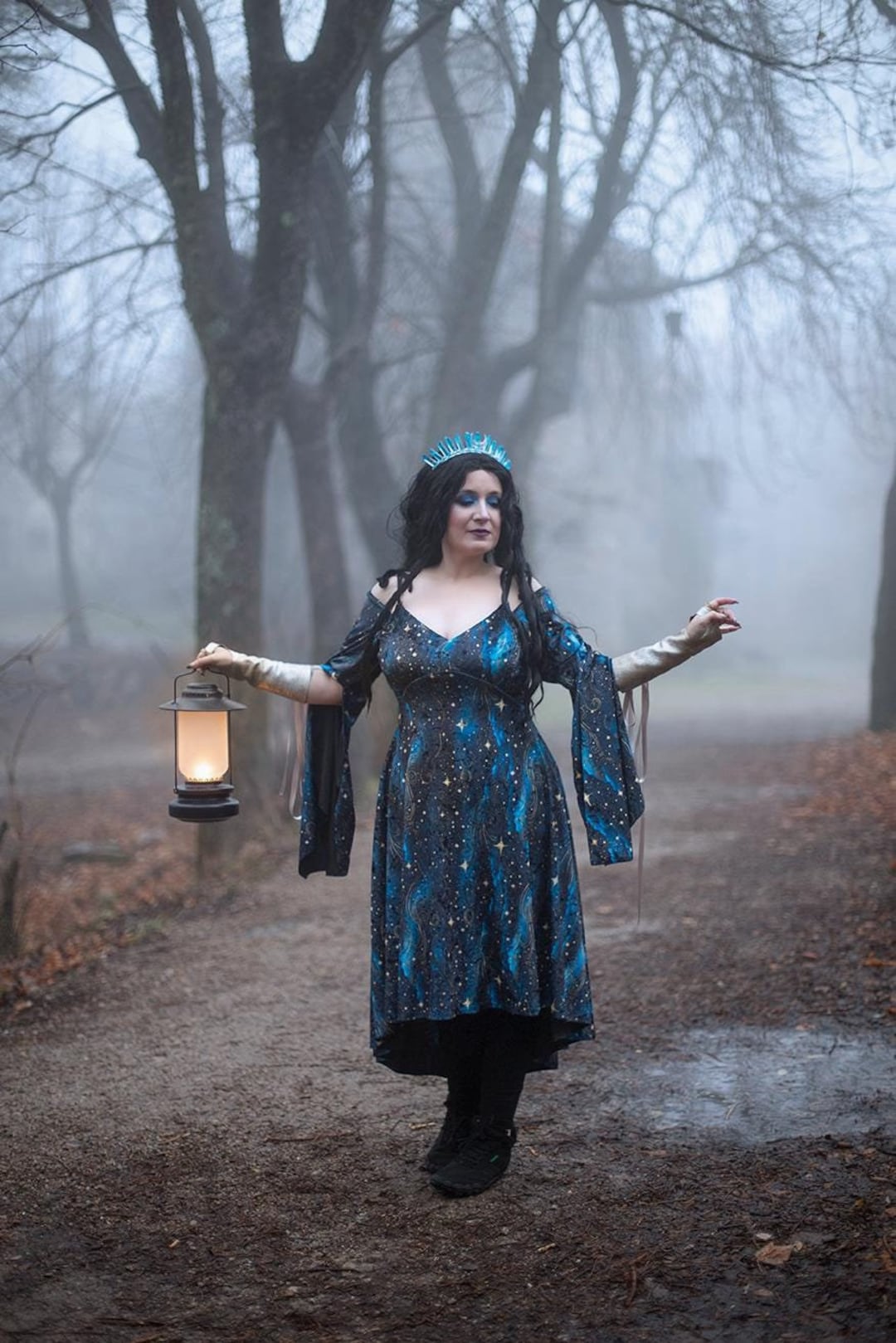 Celestial Whimsigoth Velvet Dress , Witchy Clothing , Witch Forestcore ...