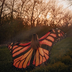 Butterfly Wings Monarch Cape Costume Adult Fairy Wings Chiffon Belly ...