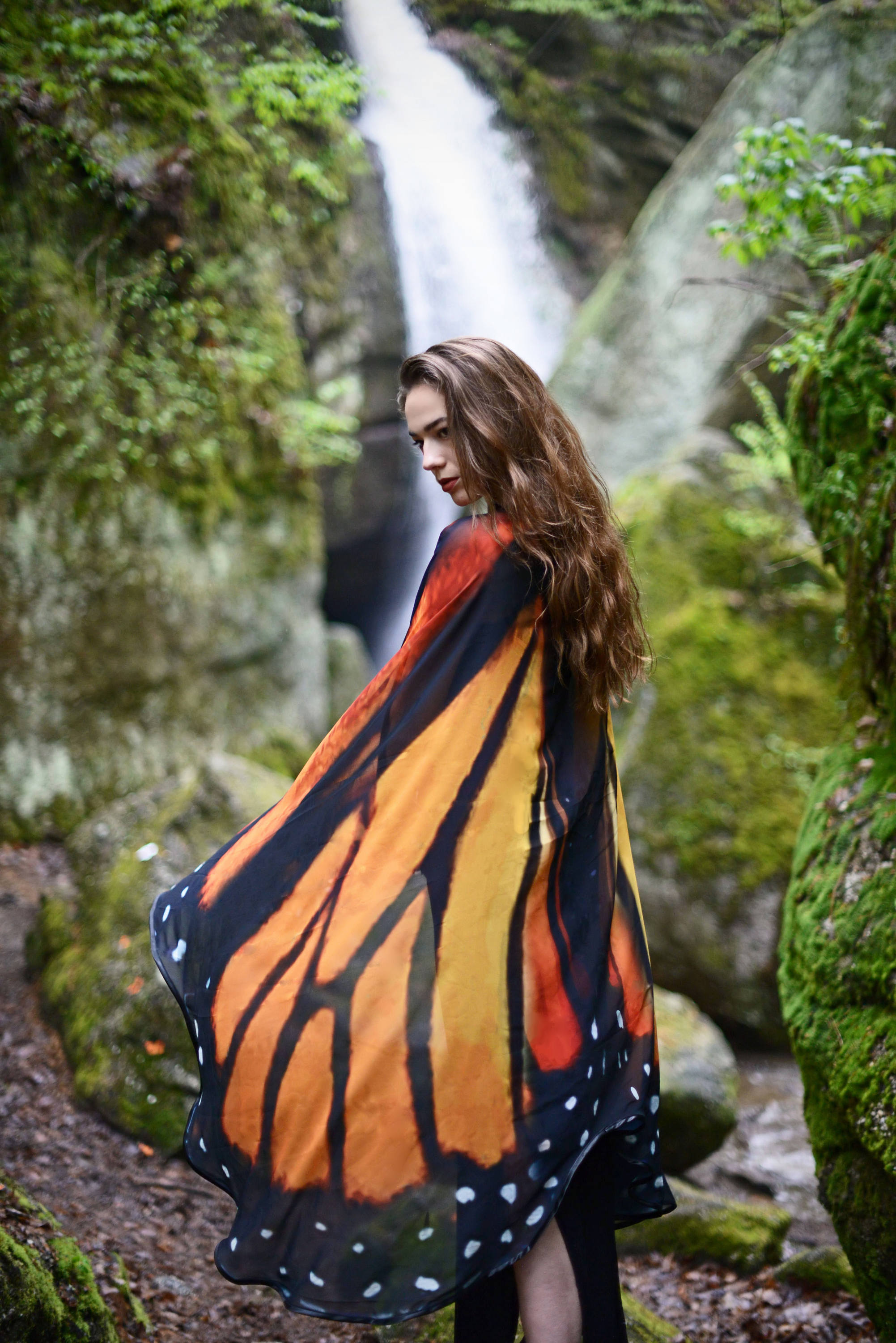 Butterfly Wings Monarch Cape Costume Adult Fairy Wings Chiffon - Etsy ...