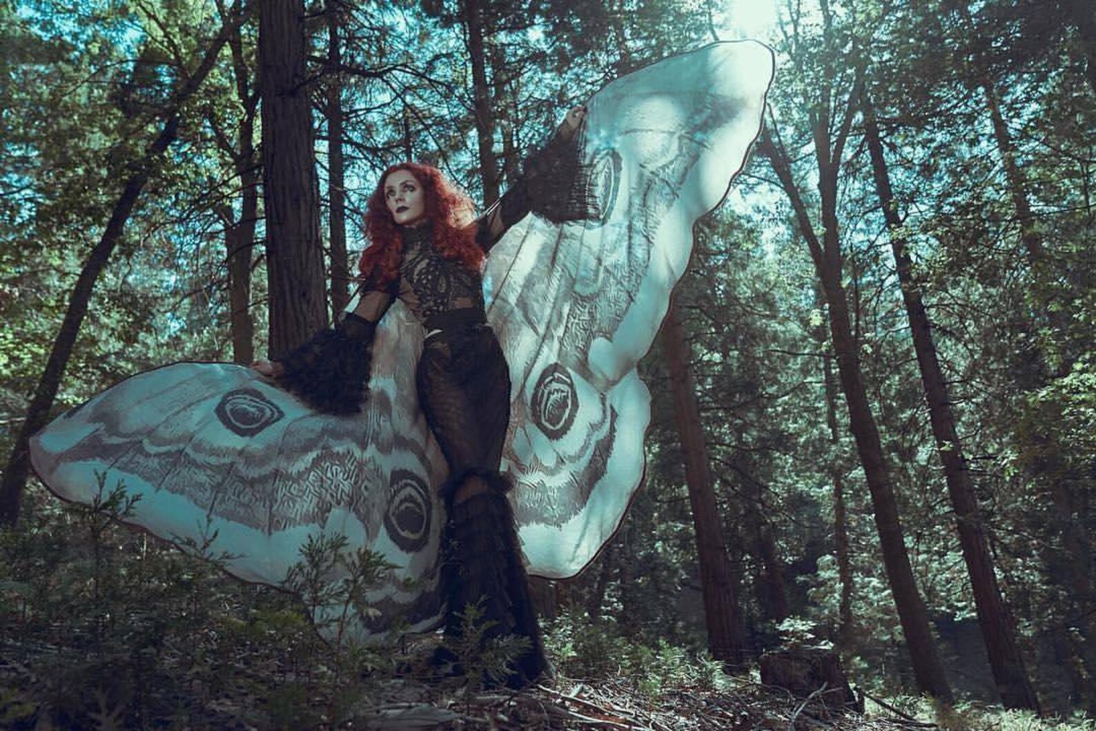 Moth wings costume butterfly cape fairy wings festival | Etsy