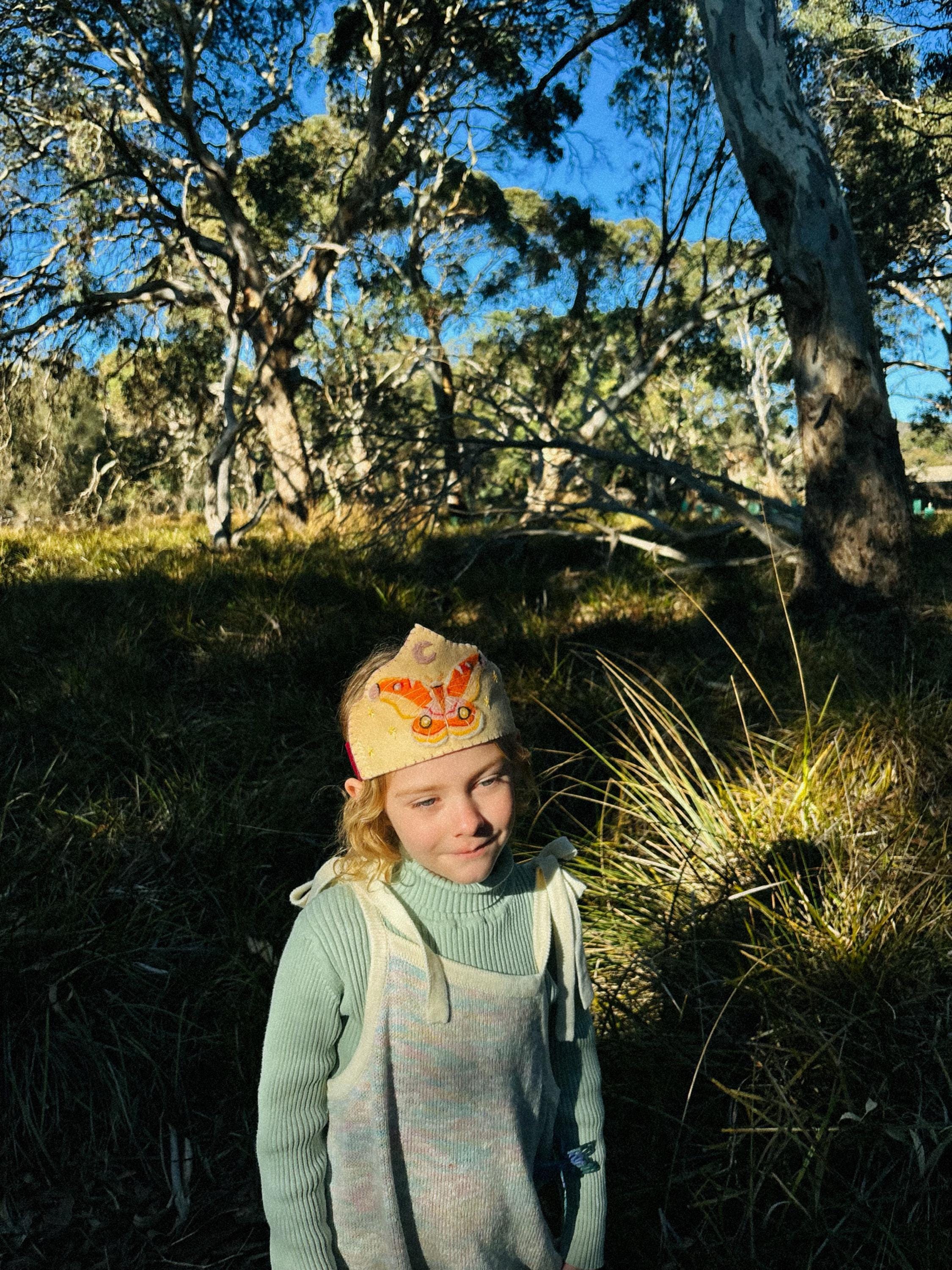 Emperor Gum Moth Felt Crown, Waldorf Inspired, Australian Moth, Felt ...
