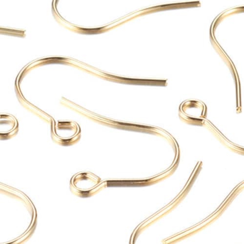 100 Pcs 304 Stainless Steel Earring Hooks With Loop Hole - Etsy