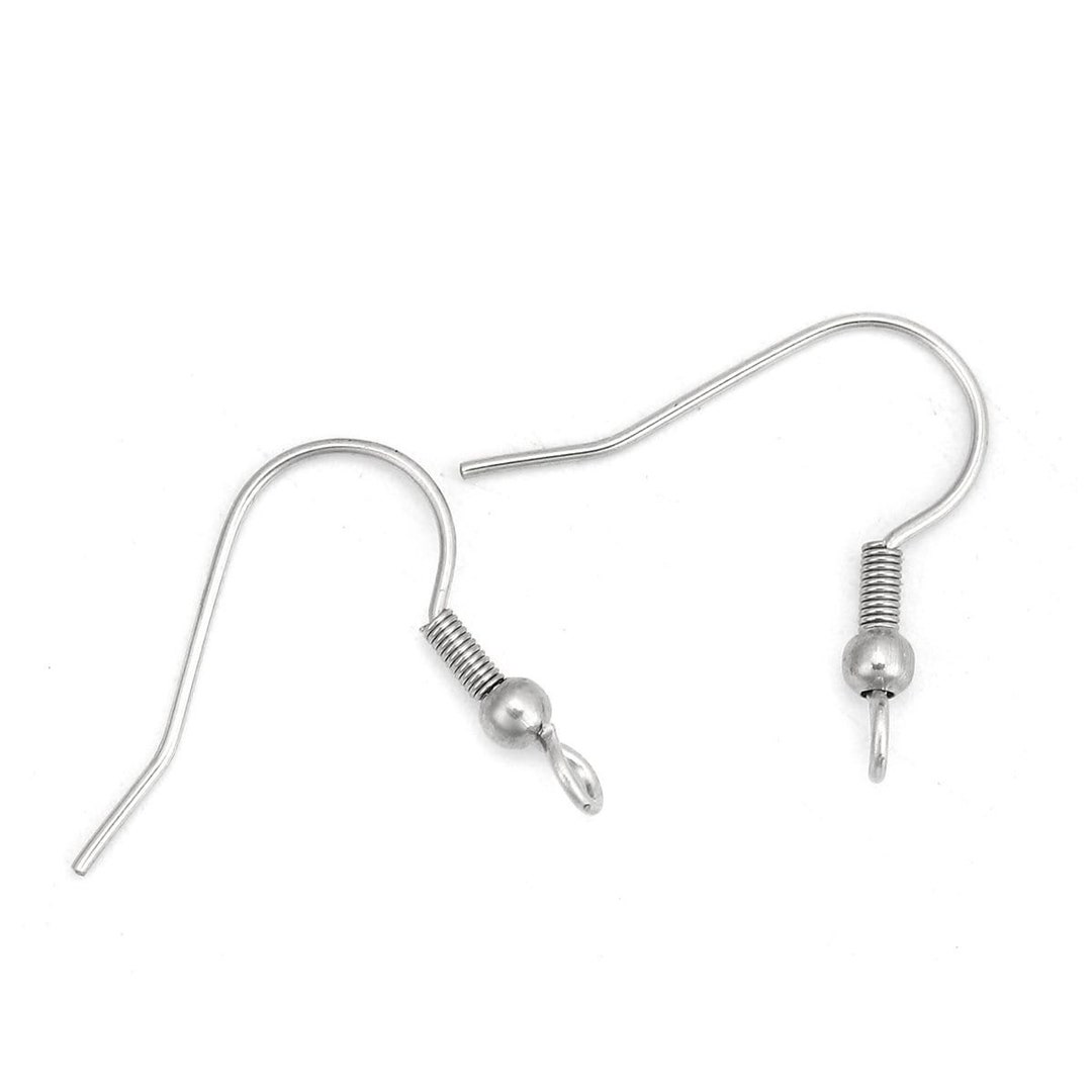 50 Pcs 304 Stainless Steel Silver Tone Earring Hooks With Spring and ...