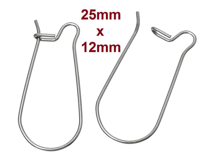 50 Pcs. 304 Stainless Steel Kidney Earwire Earring Hooks 25mm X 12mm ...