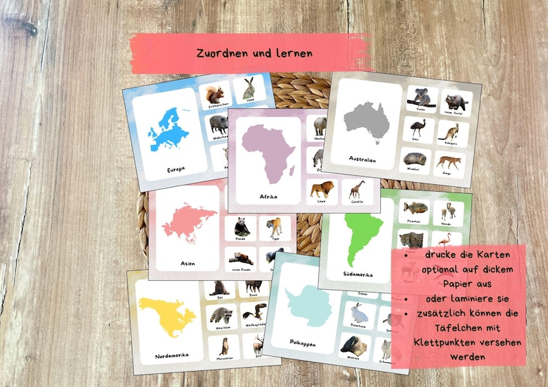 Continents & Animals Learning Game - Montessori Puzzle Game for Ages 4 ...