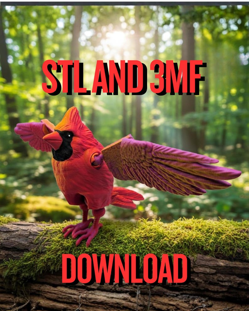 Flexi Cardinal STL & 3MF File | Articulated Bird 3D Print | Poseable ...