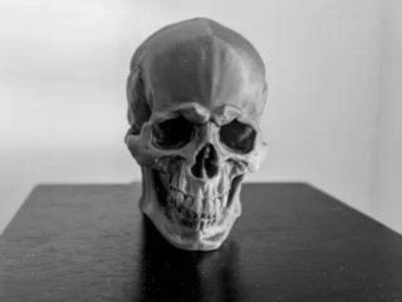 Human Skull Anatomical Model Printable Version | STL File | 3D Printing ...
