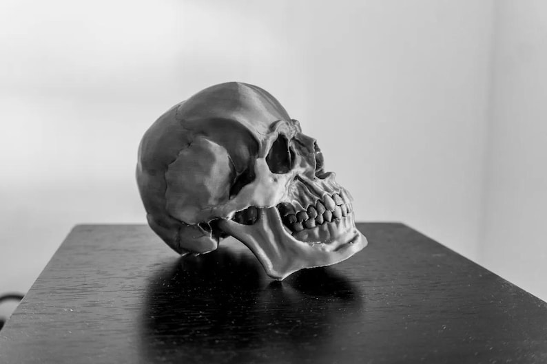 Human Skull Anatomical Model Printable Version | STL File | 3D Printing ...