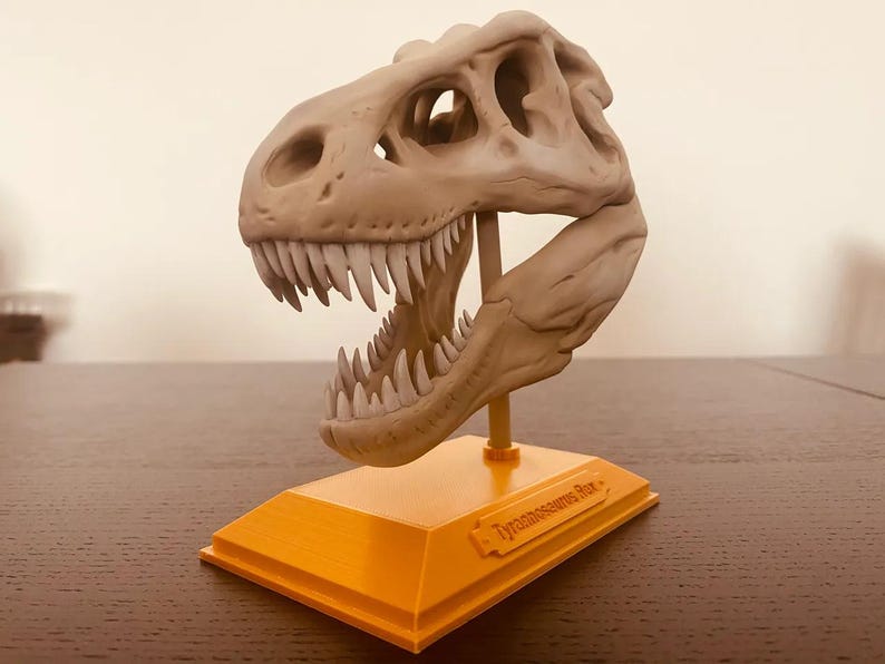 T-rex Skull 3D Printable Fossil Model | STL File | 3D Printing ...
