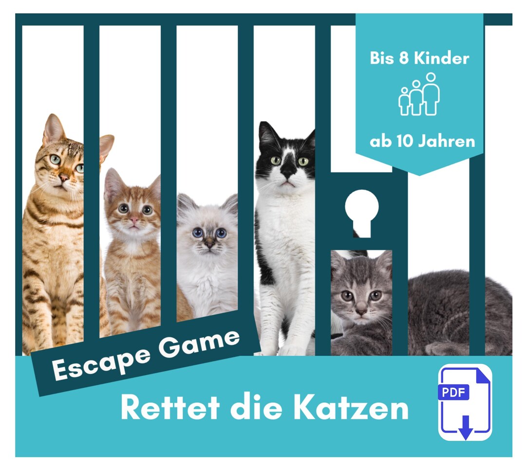 Escape Game for Children 10 Years and up | Cat Robbery Adventure to ...