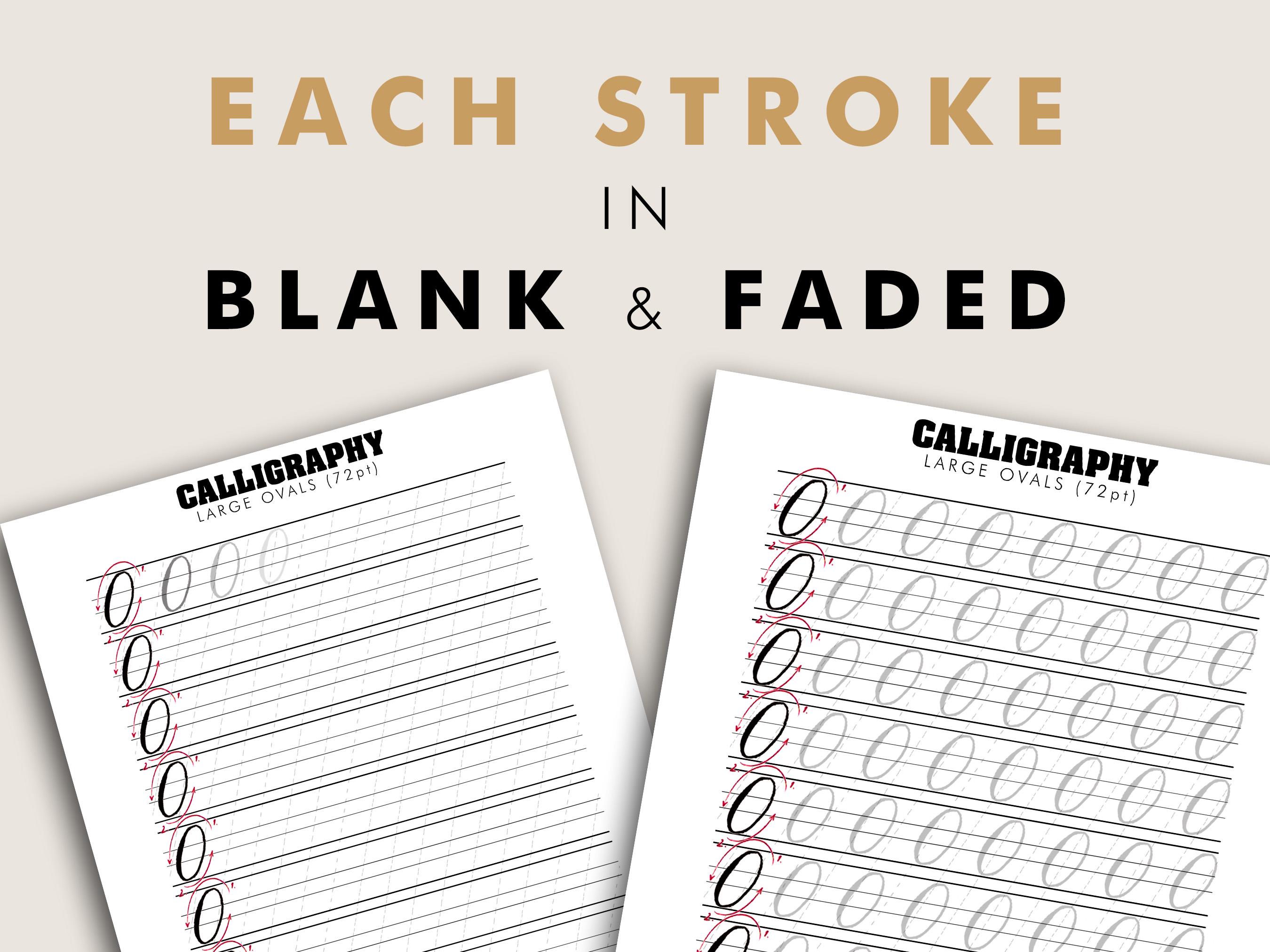 Printable PDF Calligraphy Practice Sheet Procreate Basic Calligraphy Strokes Beginner Friendly ...