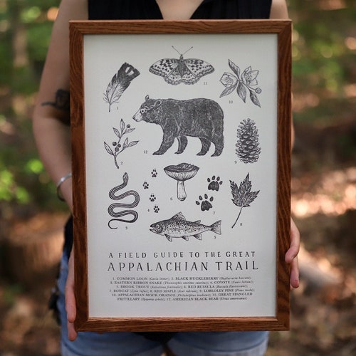 Virginia Wildlife Field Guide Print VA Outdoors Flora Fauna - Etsy