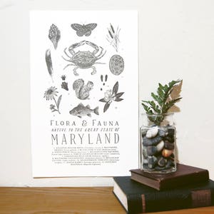 Maryland Wildlife Field Guide Print - MD Outdoors Flora Fauna Wall Art ...