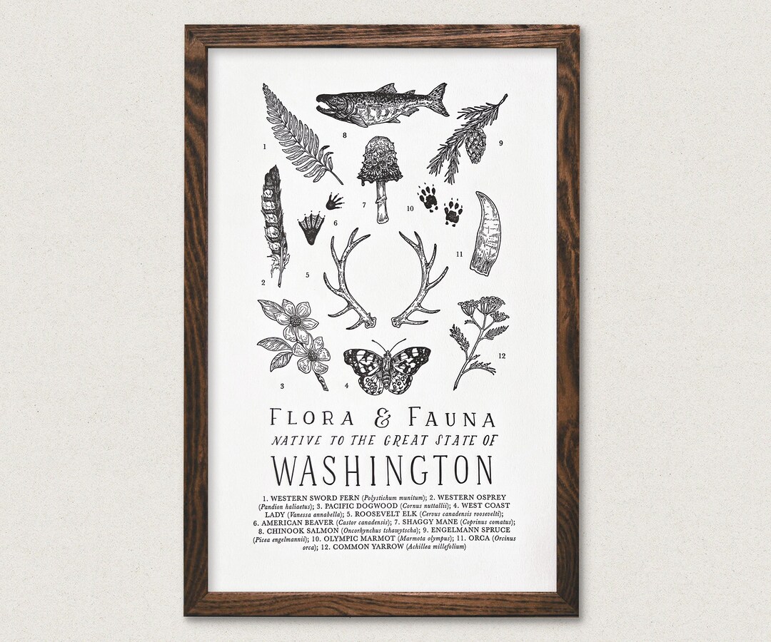 Washington Wildlife Field Guide Print - WA Outdoors Flora Fauna Wall ...