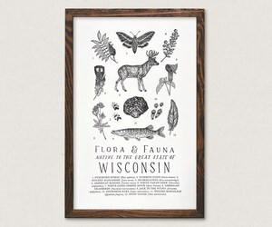 Wisconsin Native Fish Species Poster - Etsy