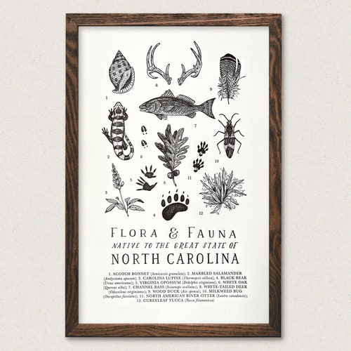 North Carolina Wildlife Field Guide Print NC Outdoors Flora - Etsy
