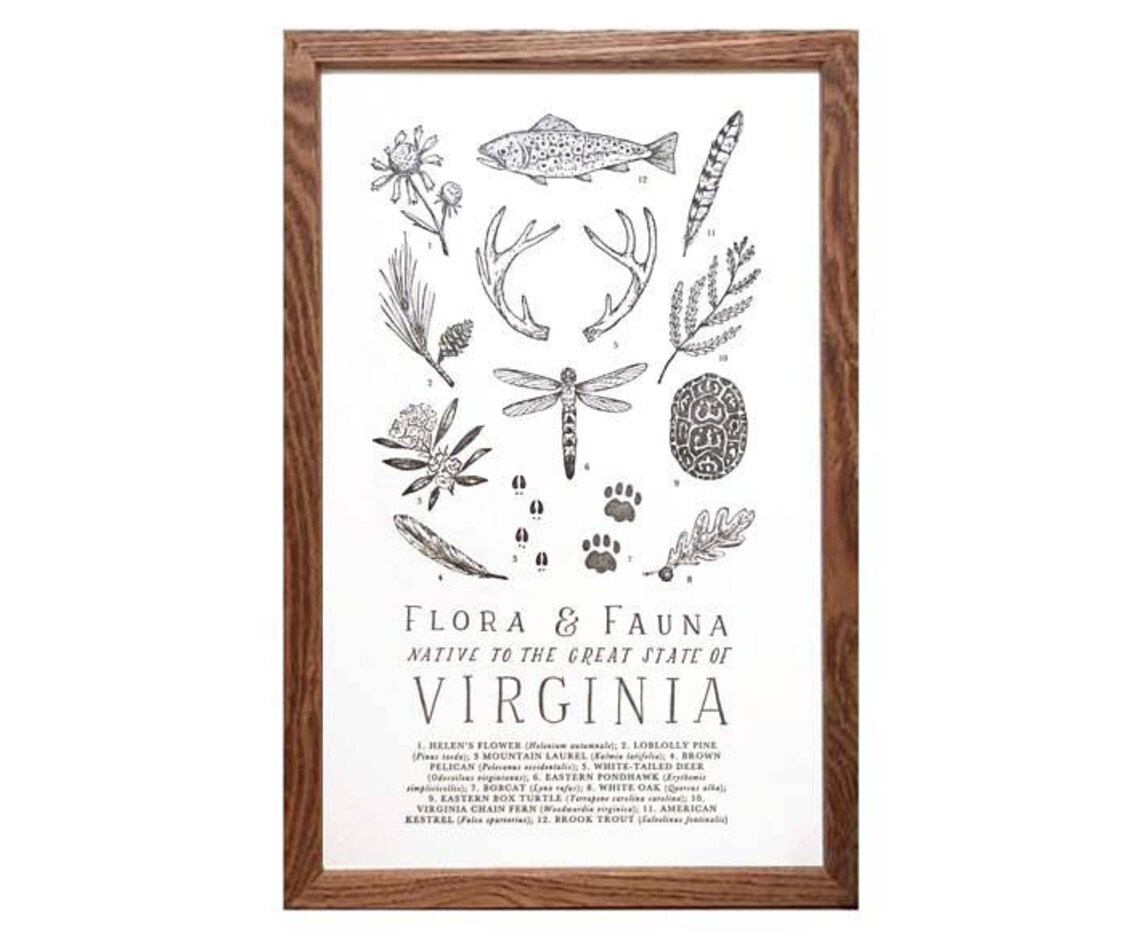 Virginia Wildlife Field Guide Print VA Outdoors Flora Fauna - Etsy