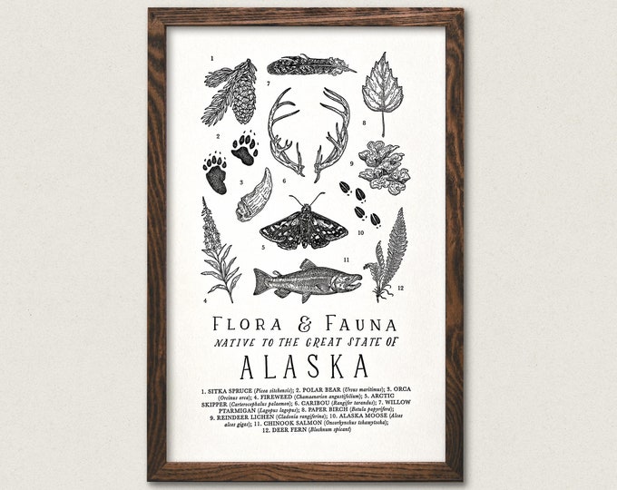 Alaska Wildlife Field Guide Print AK - Etsy