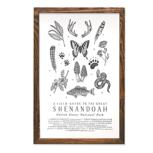 Virginia Wildlife Field Guide Print VA Outdoors Flora Fauna - Etsy