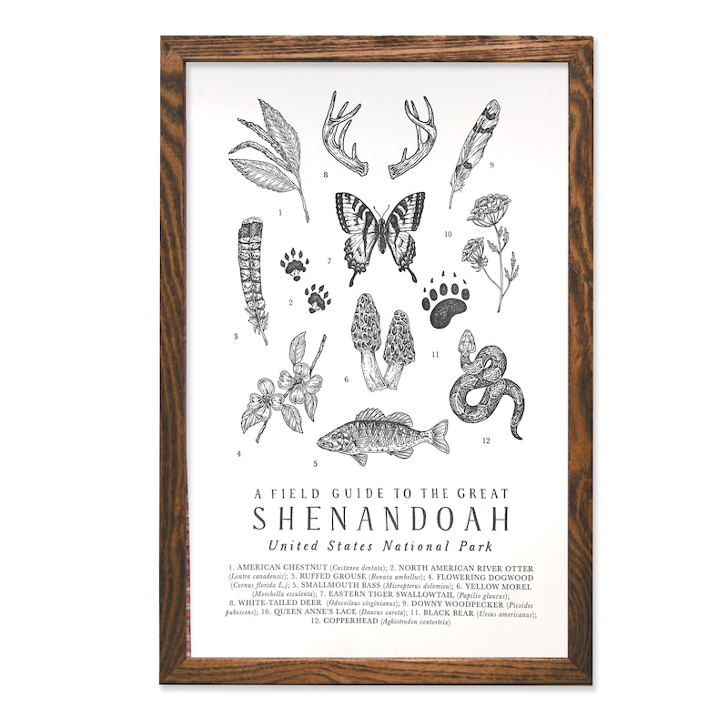 Shenandoah Art - Etsy