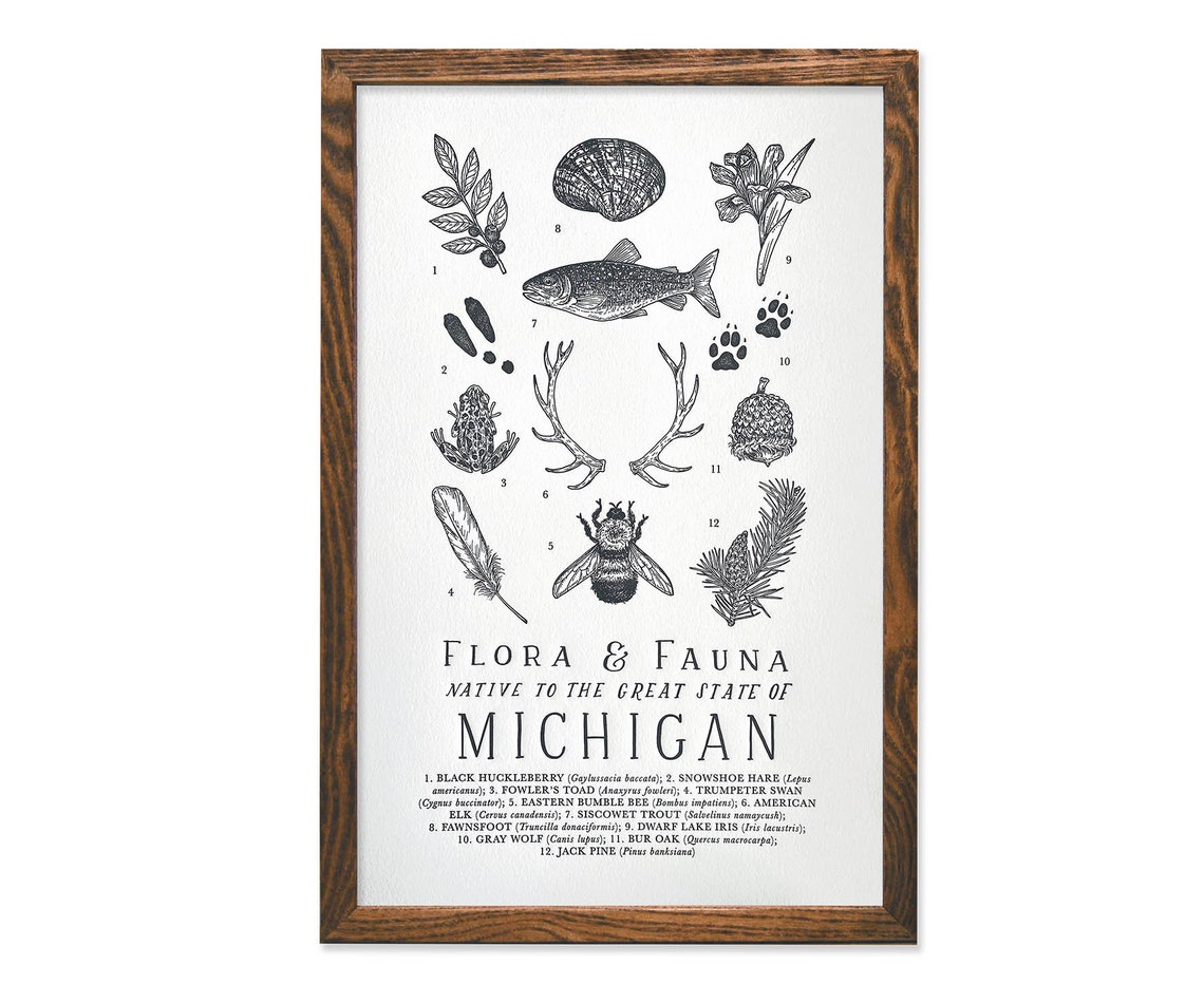 Michigan Wildlife Field Guide Print MI Outdoors Flora Fauna | Etsy