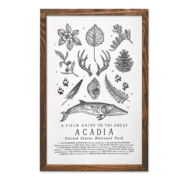 Acadia Print - Etsy