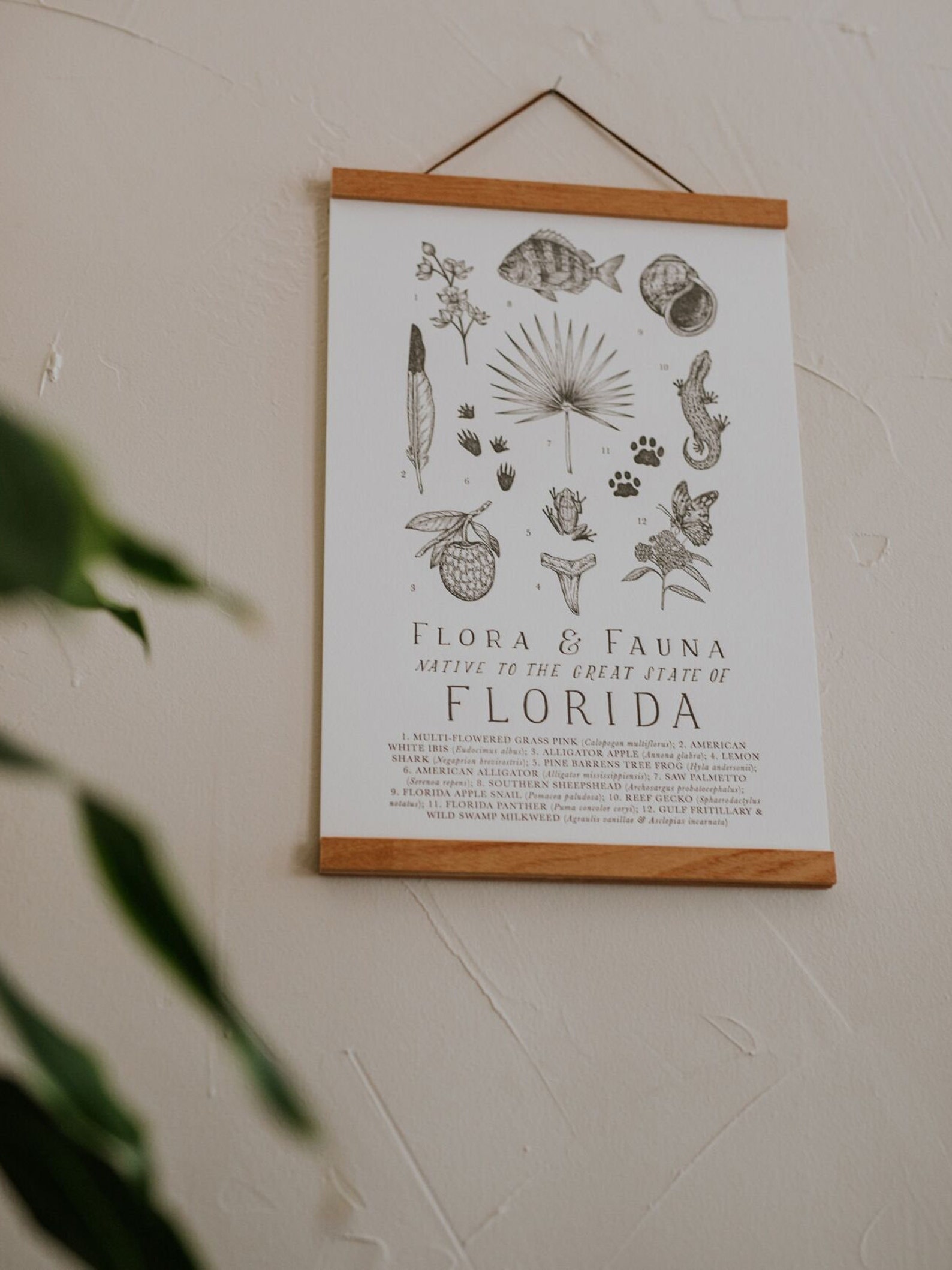 Florida Wildlife Field Guide Print FL Outdoors Flora Fauna - Etsy