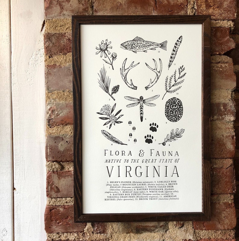 Virginia Wildlife Field Guide Print - VA Outdoors Flora Fauna Wall Art ...
