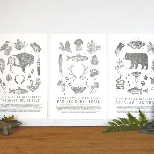 Florida Wildlife Field Guide Print FL Outdoors Flora Fauna - Etsy