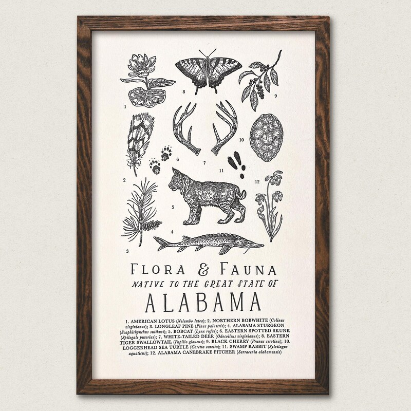 Alabama Prints - Etsy