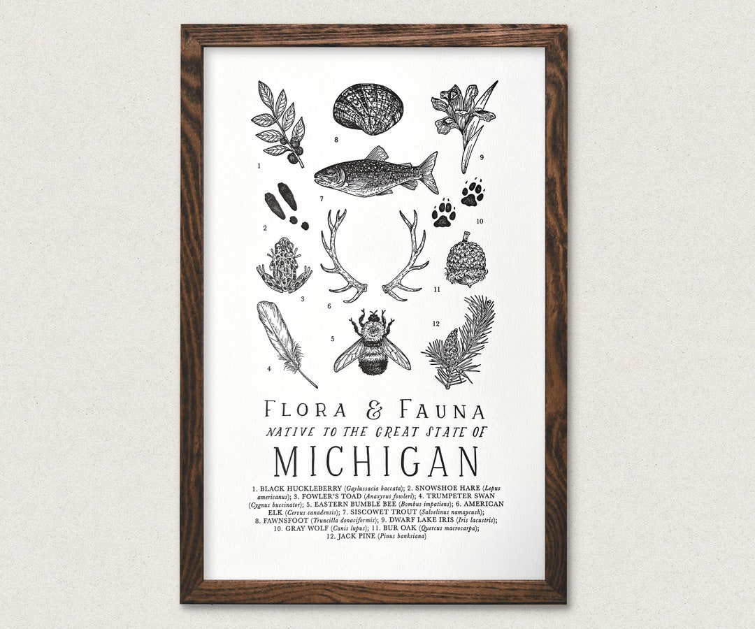 Michigan Wildlife Field Guide Print - MI Outdoors Flora Fauna Wall Art ...