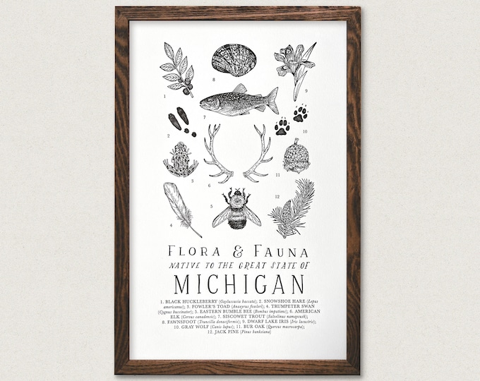 Michigan Wildlife Field Guide Print MI Outdoors Flora Fauna Wall Art - Etsy
