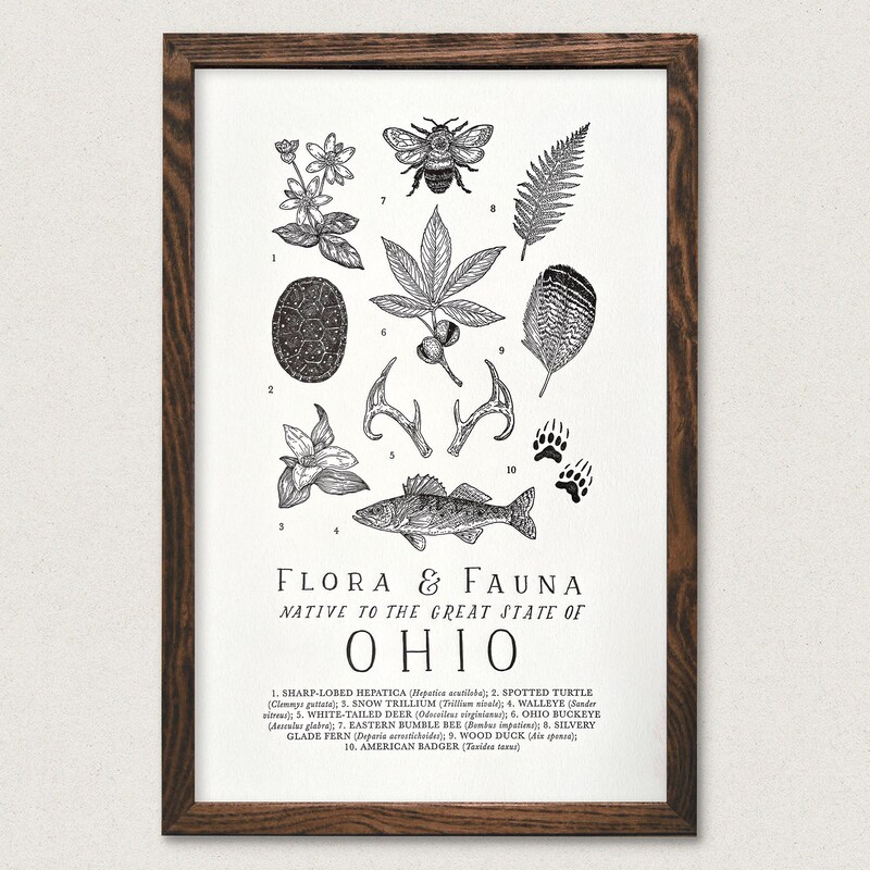 Ohio Art Print - Etsy
