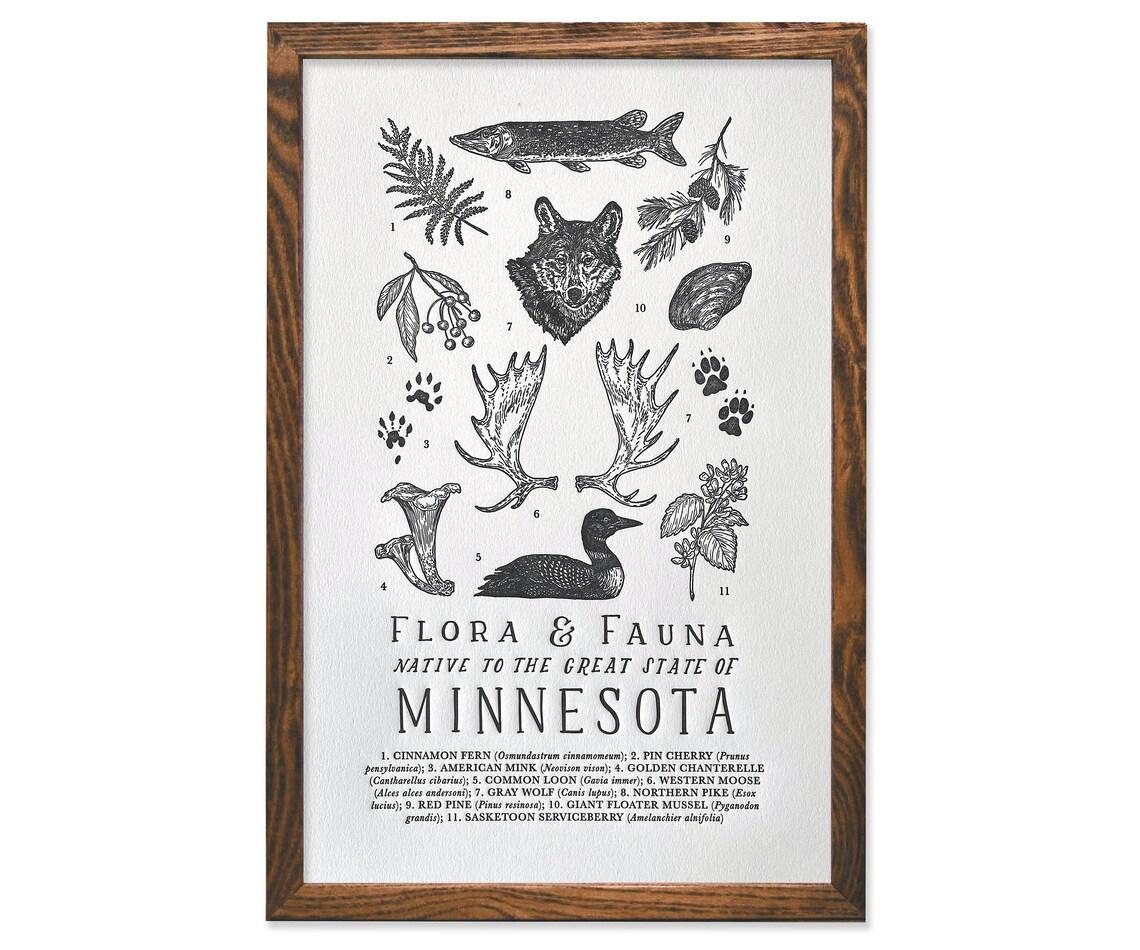 Minnesota Wildlife Field Guide Print MN Outdoors Flora Fauna - Etsy