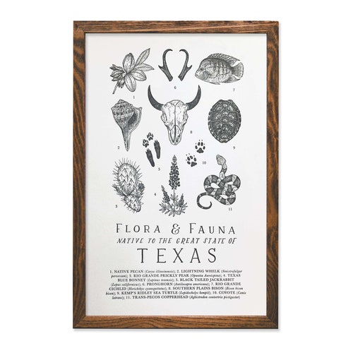 North Carolina Wildlife Field Guide Print NC Outdoors Flora | Etsy