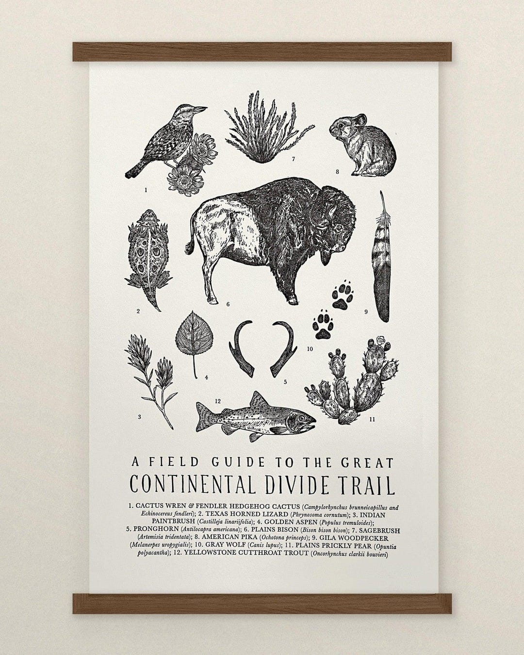 Continental Divide Trail Field Guide Letterpress Print - Etsy