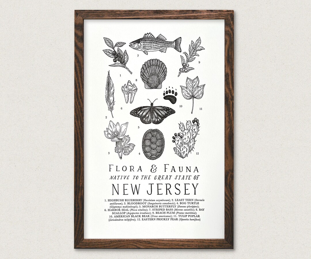 New Jersey Wildlife Field Guide Print - Outdoors NJ Flora Fauna Wall ...