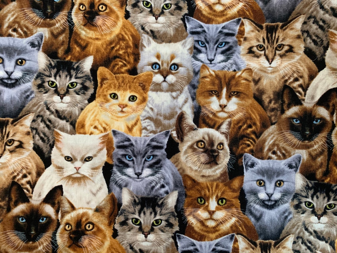 Timeless Treasures Quilting Fabric, Kitten Cat Novelty Kids Quilt ...