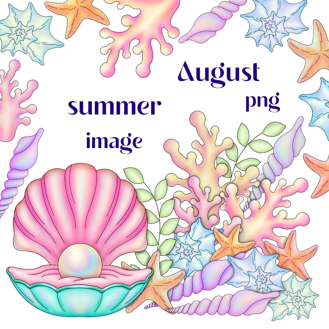 PNG Illustrations – Summer August Vibes: Sea Shells and a Shimmering ...
