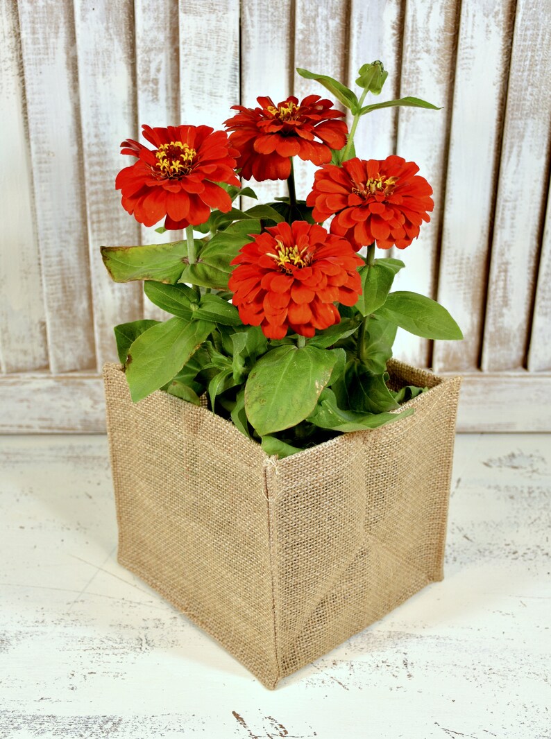 Burlap Jute Container 3 Plant Holder Burlap Centerpiece | Etsy