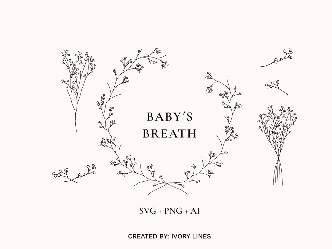 Baby Breath Line Art Clipart | Hand Drawn Wedding Graphics | Floral ...