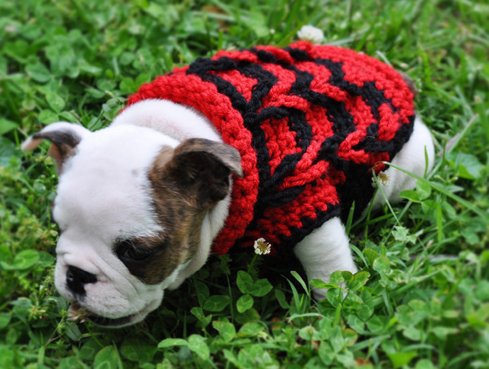 CROCHET PATTERN, Small Dog Sweater, Dog Sweater, Dog Sweater Pattern ...