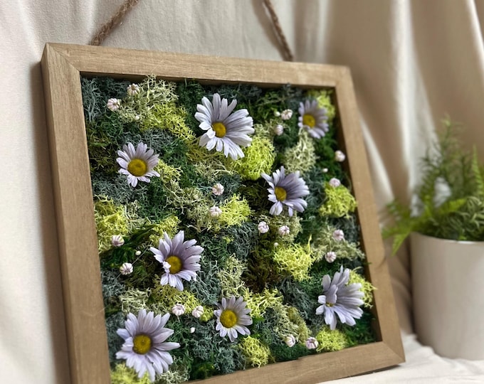 Framed Daisy Moss Wall Art | Handmade Botanical Decor | Real Preserved ...