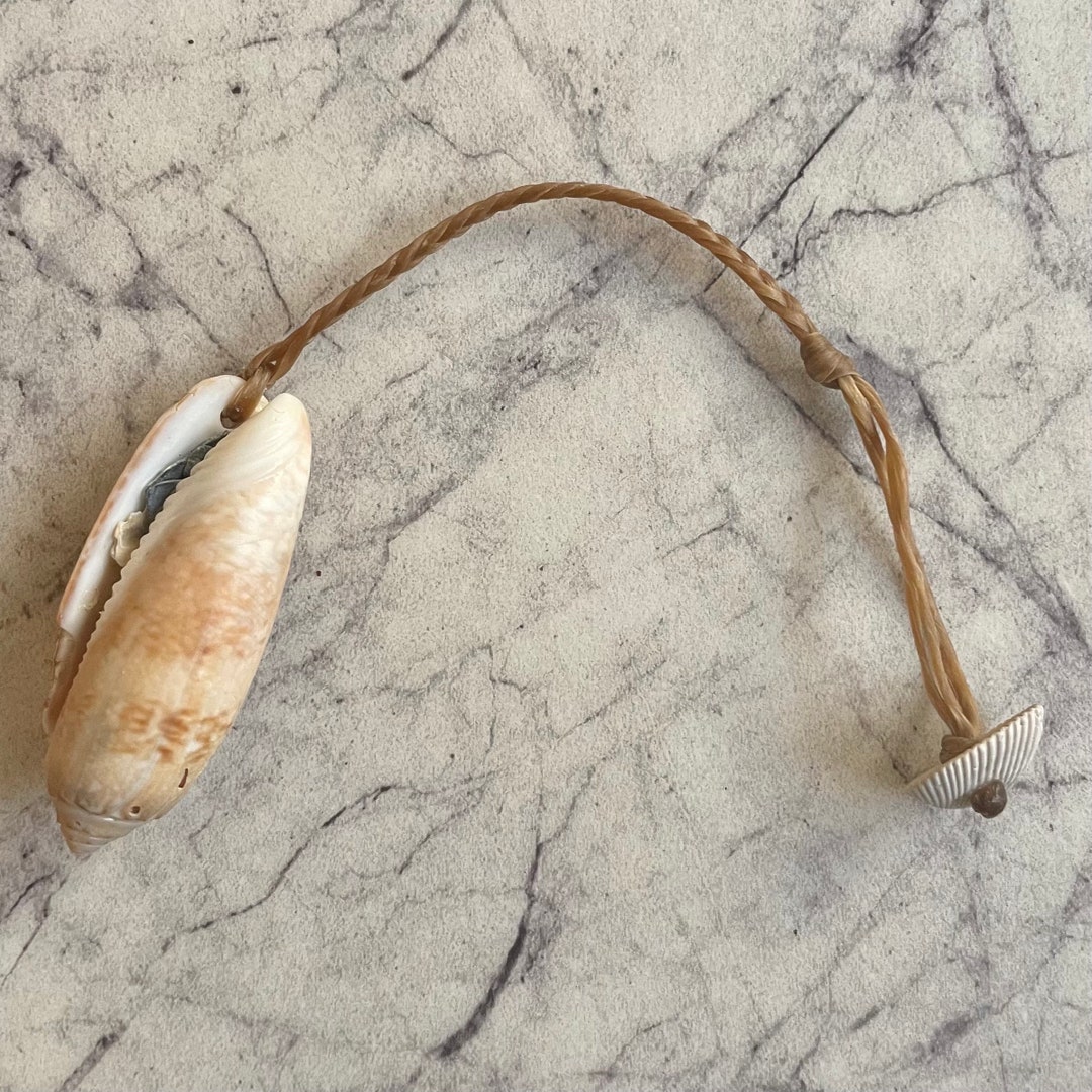 Olive Shell and Seashell Ornament, Car Charm, Window Hang (boho) - Etsy