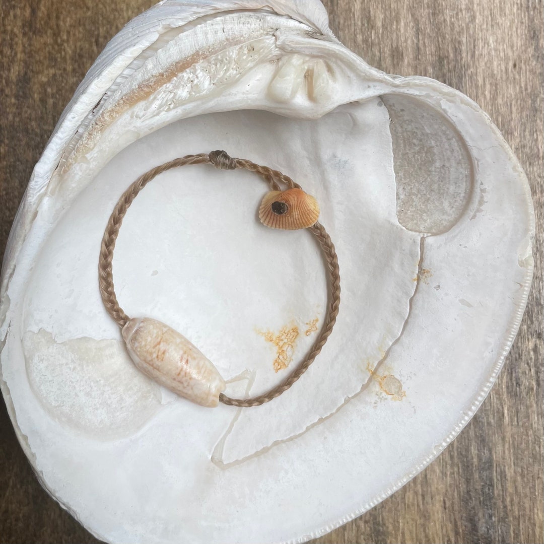 Olive Shell Braided Bracelet (orange Seashell Clasp) - Etsy