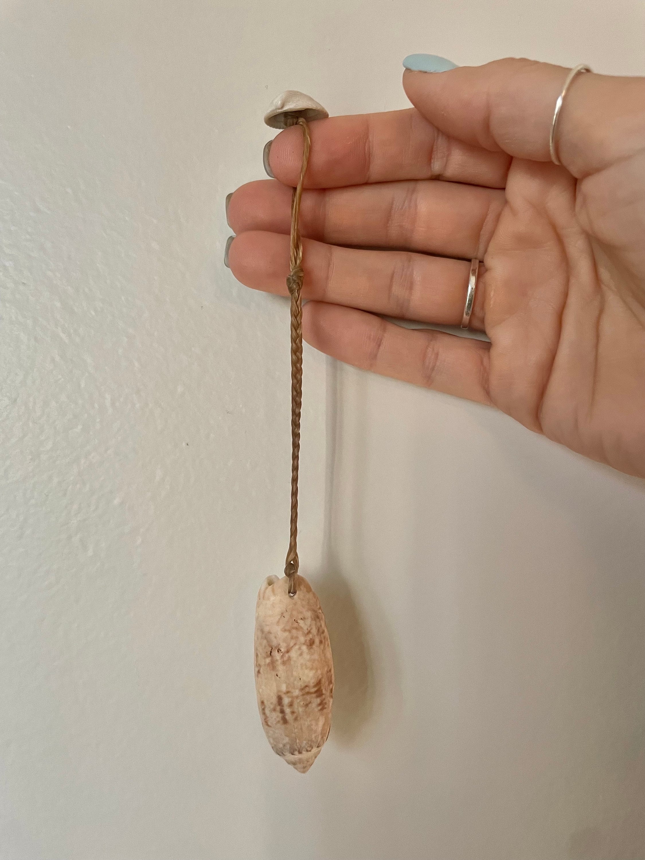Olive Shell and Seashell Ornament, Car Charm, Window Hang (boho) - Etsy