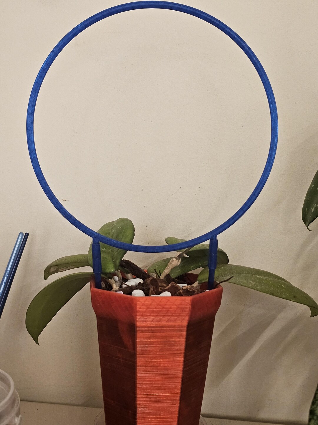 Halo Trellis | 4 Sizes, Customizable | 3D Printed Circle Shaped Trellis ...